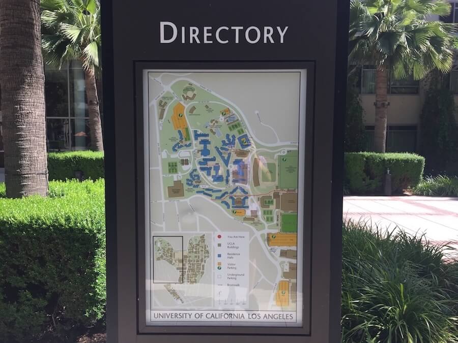 Homeless around UCLA